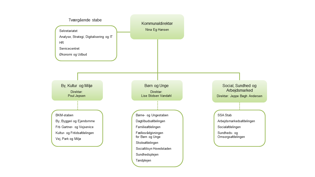Organisering